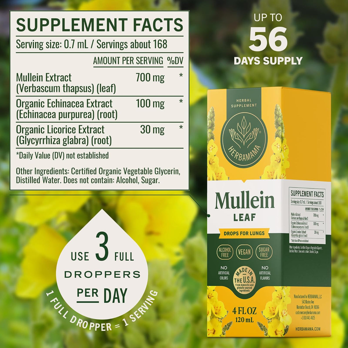 Mullein leaf drops for respiratory support