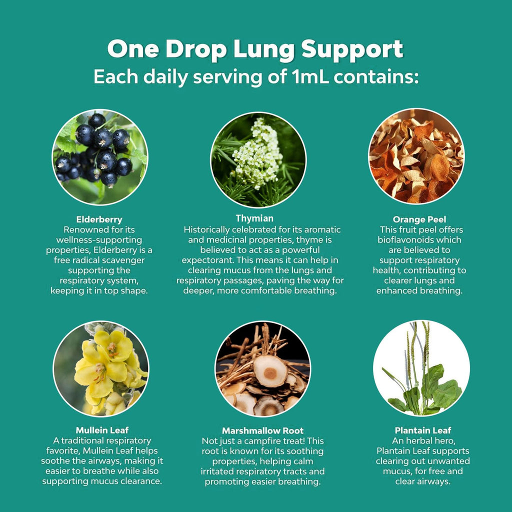 mullein leaf drops for vitality