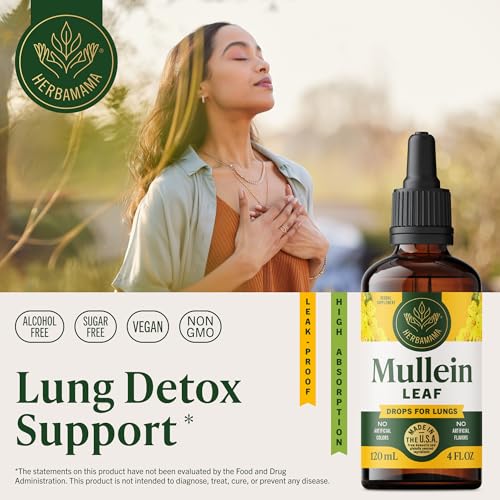 Mullein leaf extract benefits