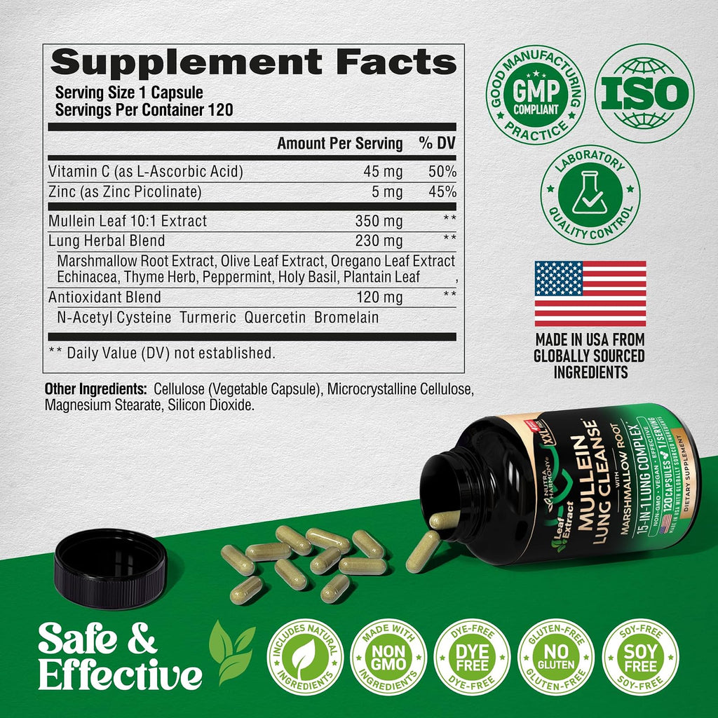 Mullein leaf extract benefits