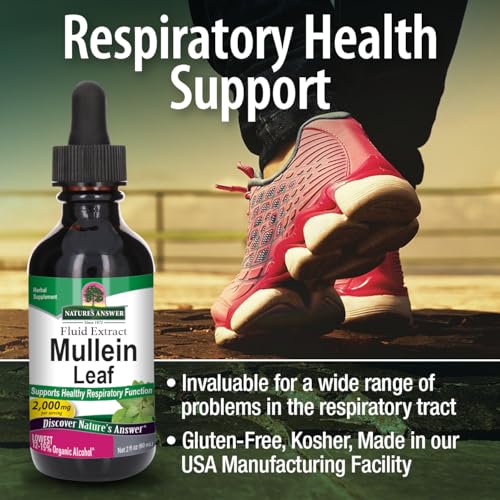 Mullein leaf extract for allergies