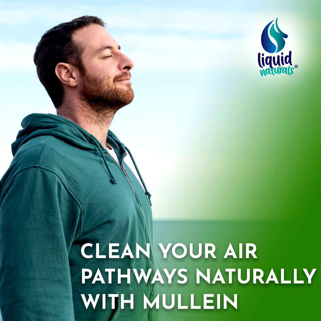 mullein leaf extract for cleansing