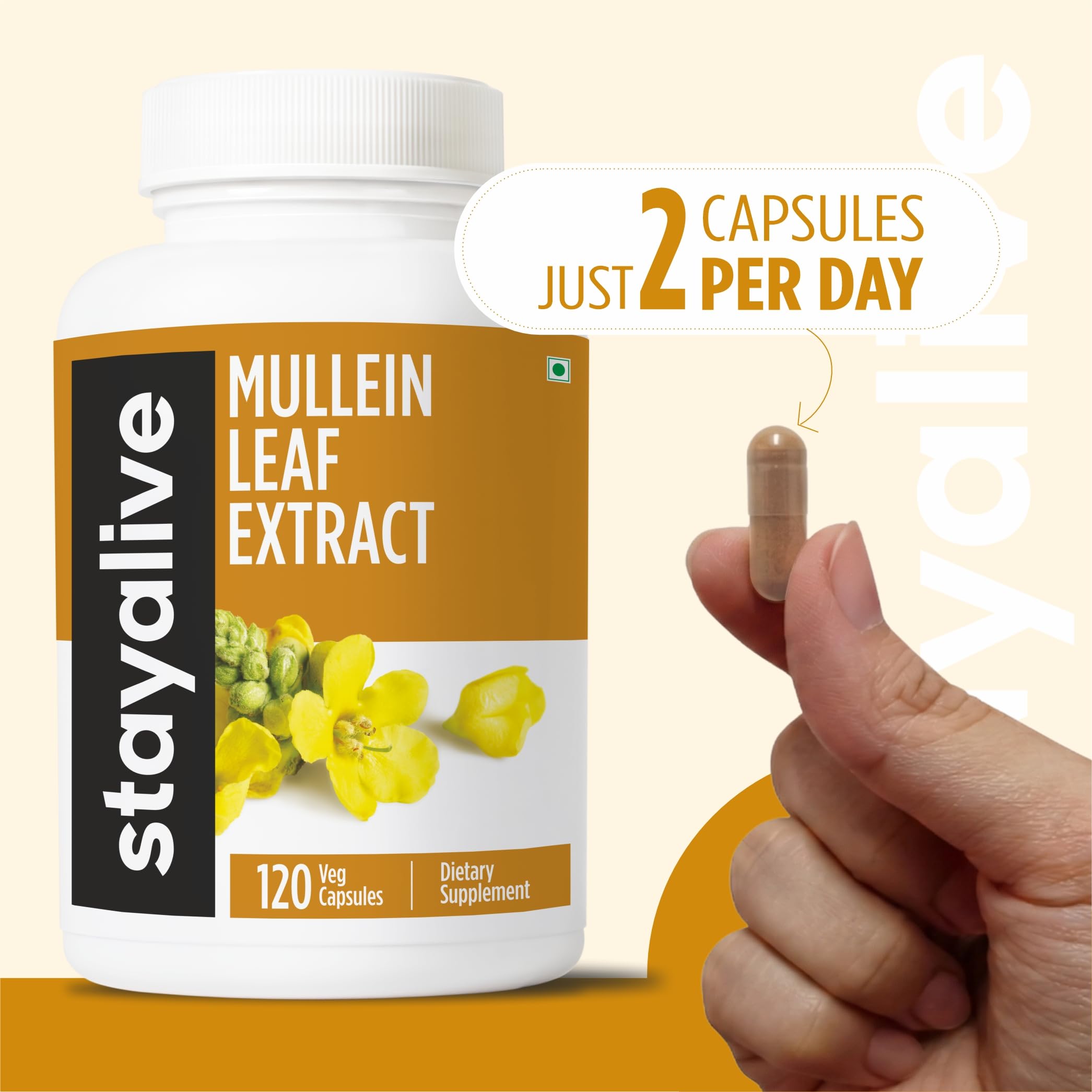 mullein leaf extract for immune health