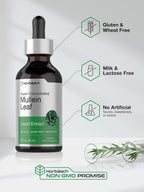 Mullein leaf extract for immune health