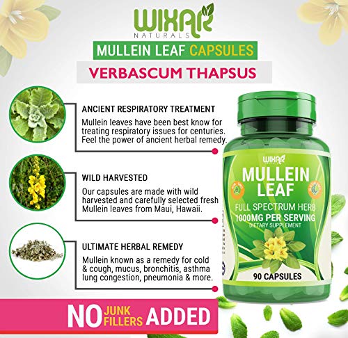 mullein leaf extract for immune support