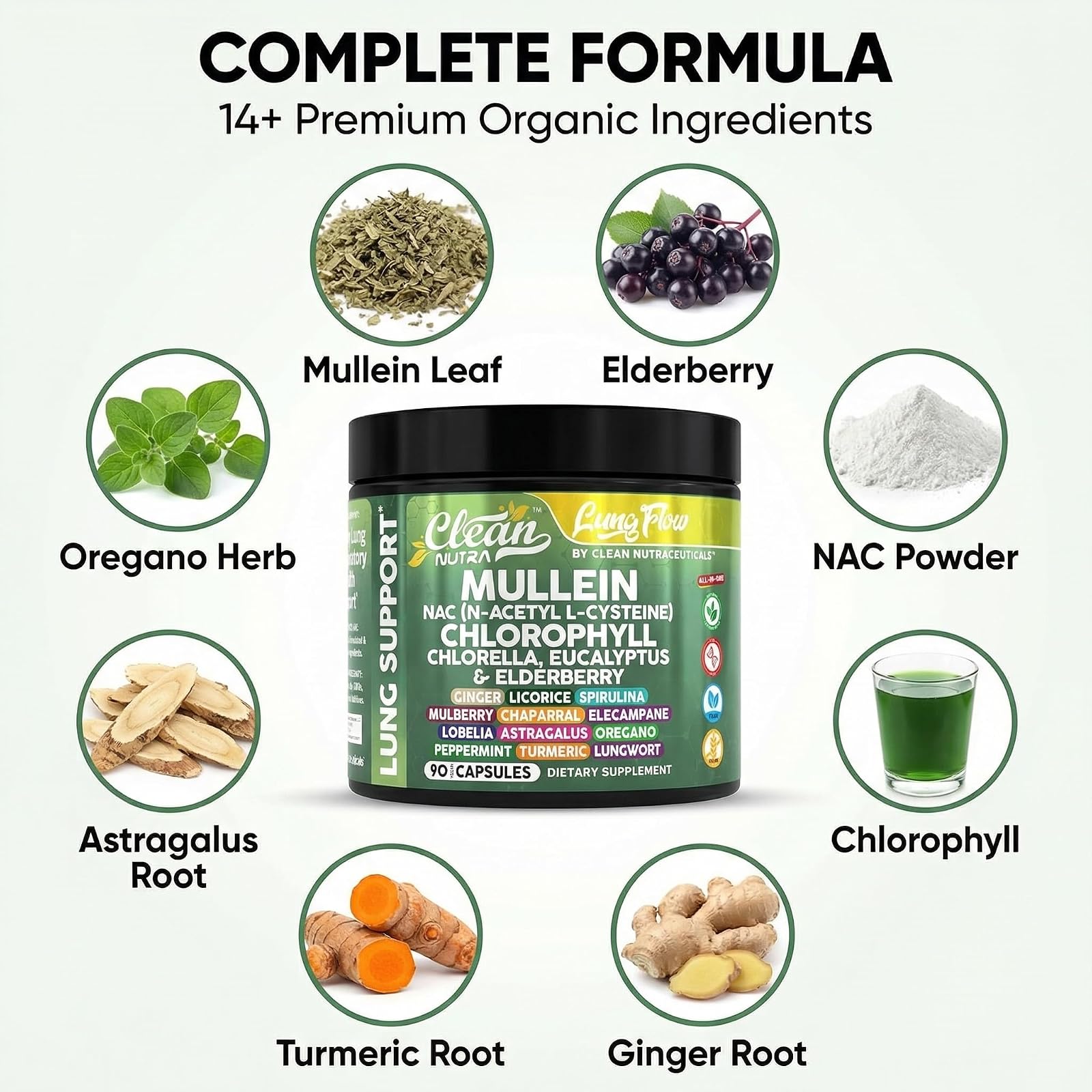 Mullein Leaf Extract for immune support