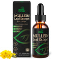 mullein leaf extract for lung health