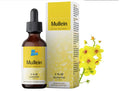 mullein leaf extract for lung health