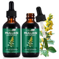 mullein leaf extract for lung health