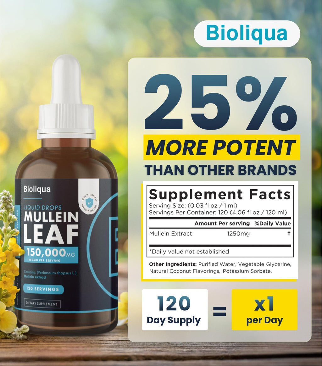 mullein leaf extract for respiratory health