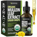 Mullein leaf extract for respiratory health
