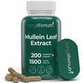Mullein leaf extract for respiratory health