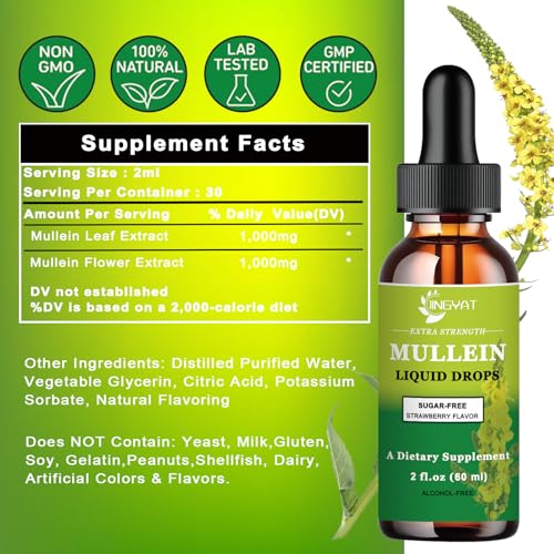 mullein leaf extract for respiratory support