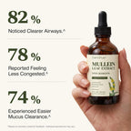 Mullein leaf extract for seasonal allergies