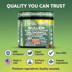 Mullein Leaf Extract for seasonal allergies