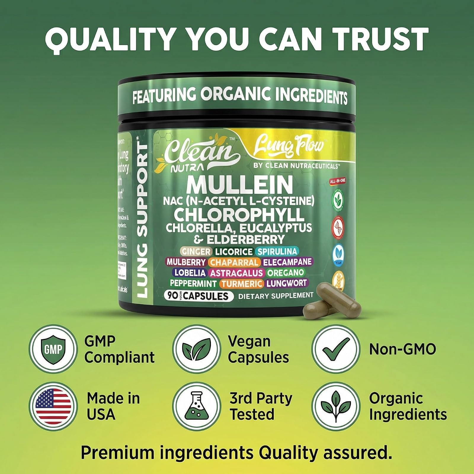 Mullein Leaf Extract for seasonal allergies