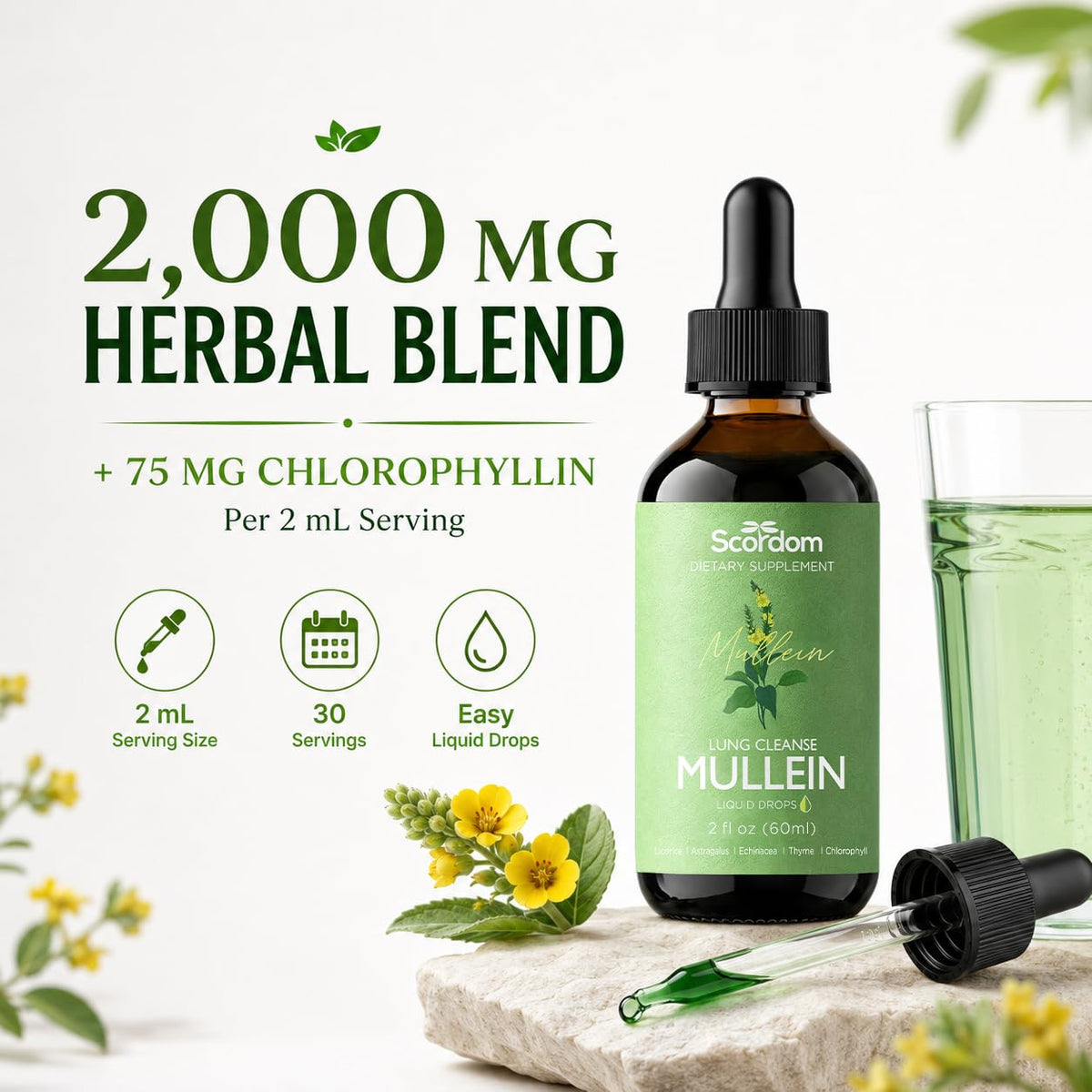 Mullein leaf extract for soothing coughs