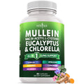 Mullein leaf extract health benefits