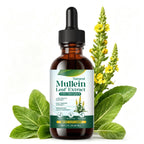 Mullein leaf extract tincture drops