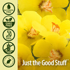 Mullein leaf for cough relief
