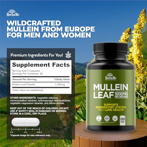 mullein leaf for daily respiratory comfort