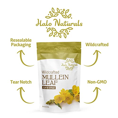 mullein leaf for herbal infusions