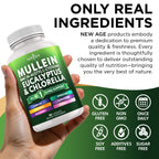 Mullein leaf for immune support