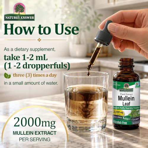 mullein leaf for mucous membranes