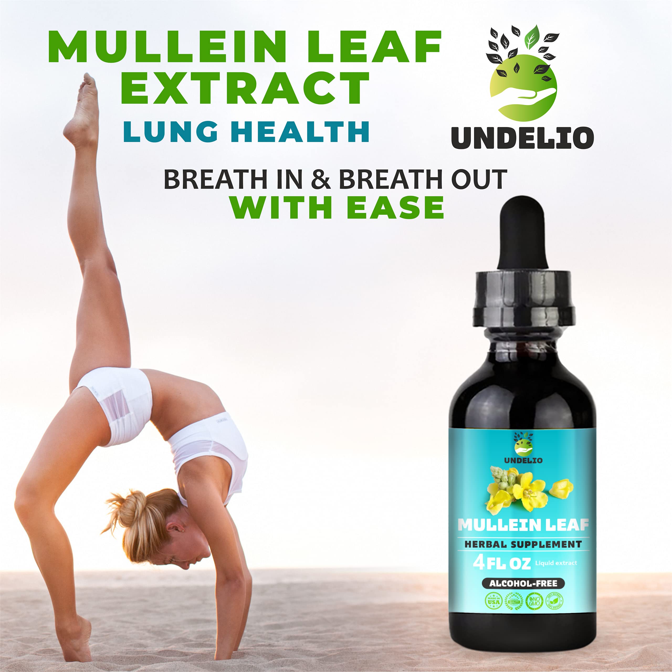mullein leaf for respiratory function