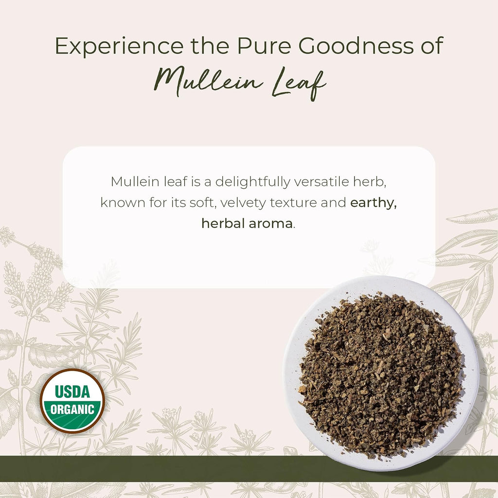 mullein leaf for respiratory health