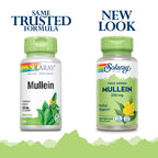 Mullein leaf for respiratory support