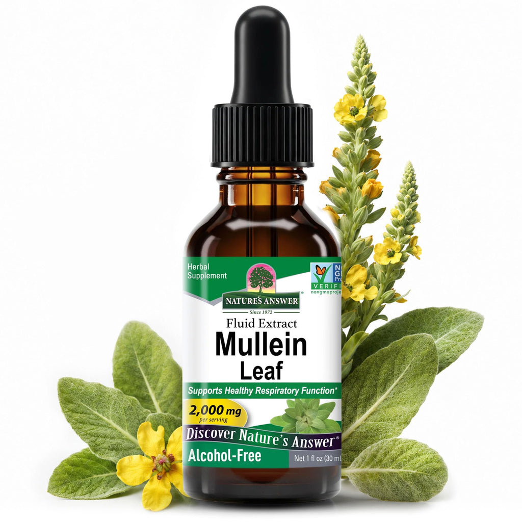 mullein leaf herbal supplement benefits