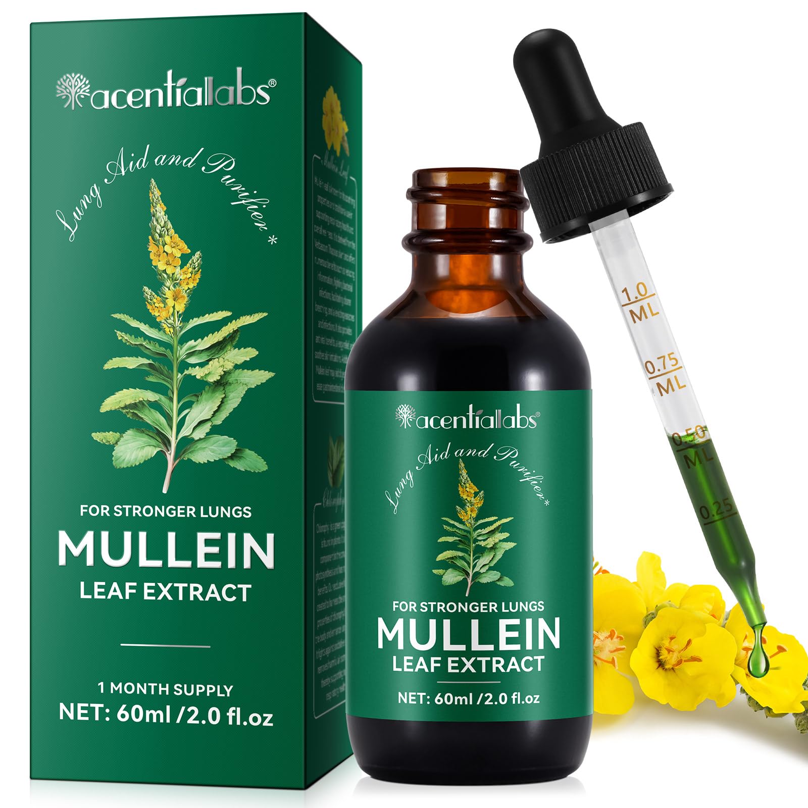 mullein leaf liquid drops for lungs