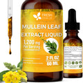 mullein leaf liquid extract benefits