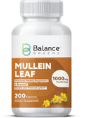mullein leaf supplement for respiratory health
