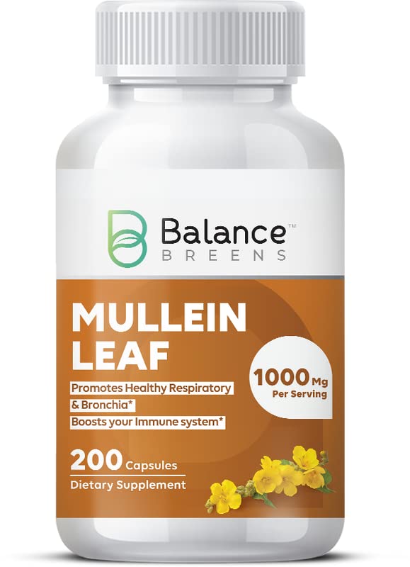 mullein leaf supplement for respiratory health