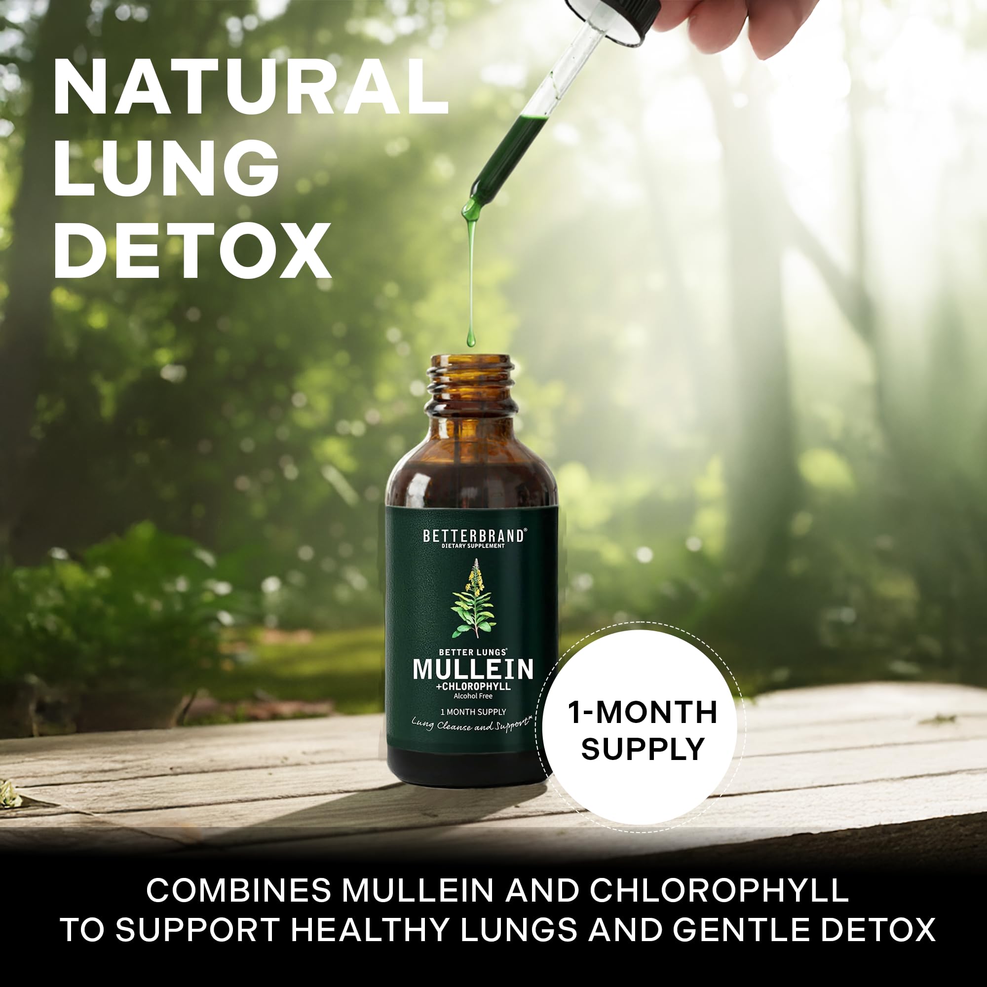 mullein leaf supplement for wellness