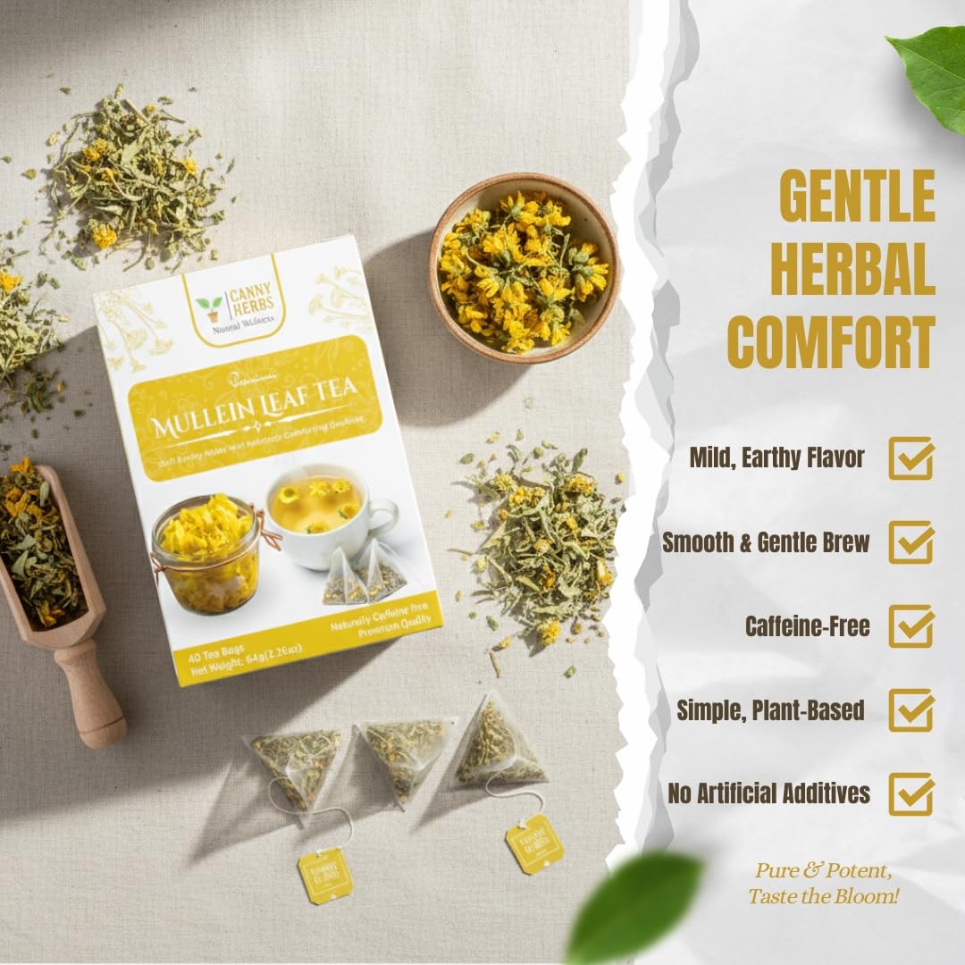 Mullein leaf tea for daily use