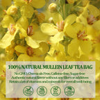 mullein leaf tea for herbal detox
