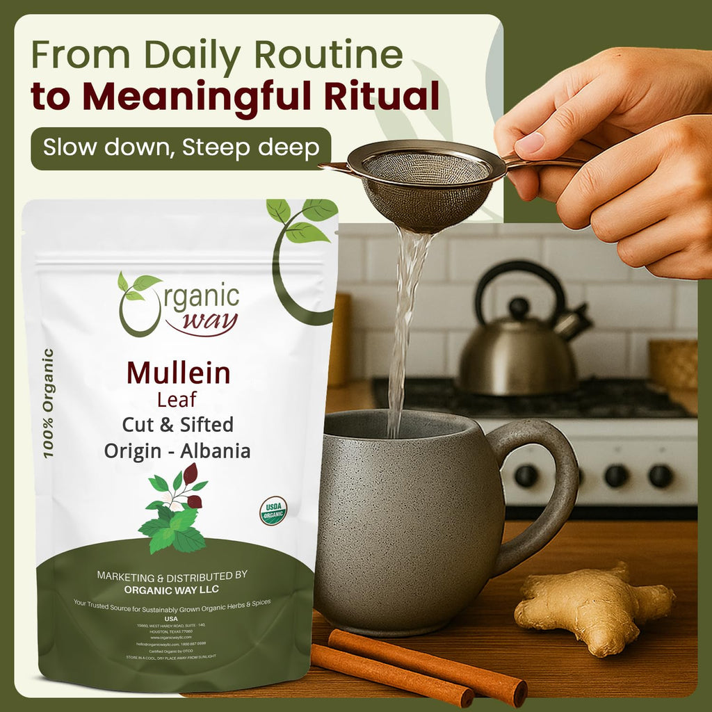 Mullein Leaf tea for respiratory health