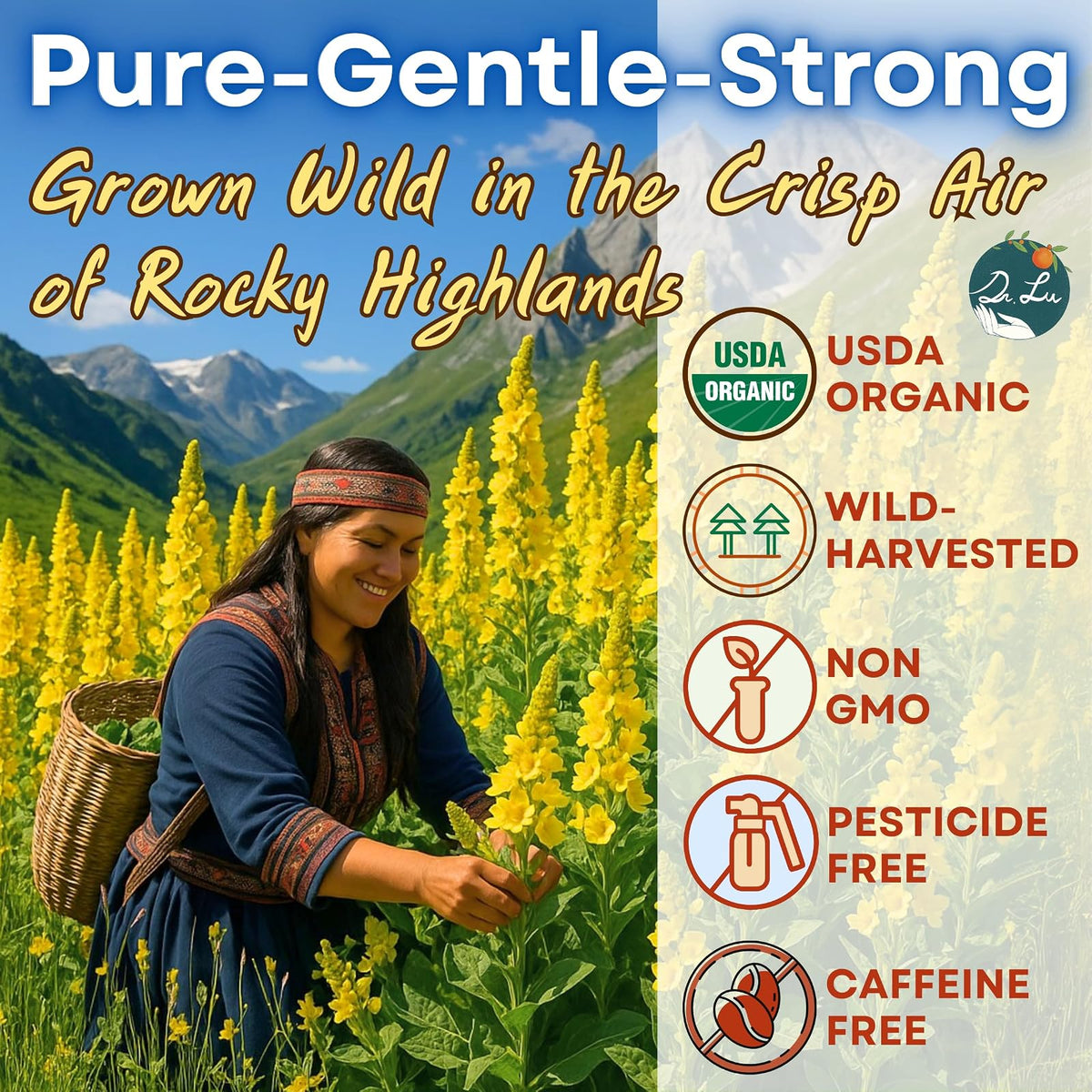 mullein leaf tea for respiratory health