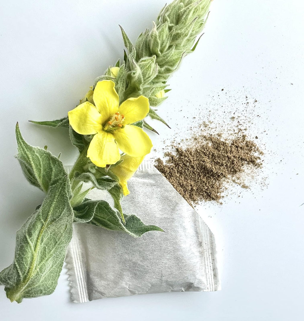 Mullein leaf tea for wellness