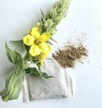 Mullein leaf tea for wellness