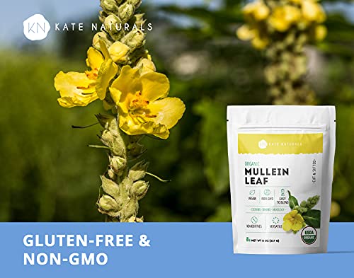 mullein leaf tea preparation guide