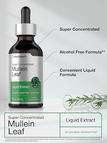 mullein leaf tincture for everyday use
