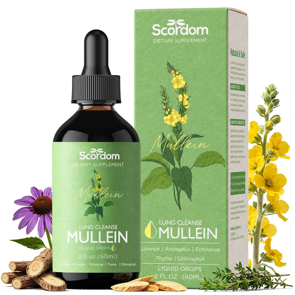 Mullein leaf tincture for respiratory health