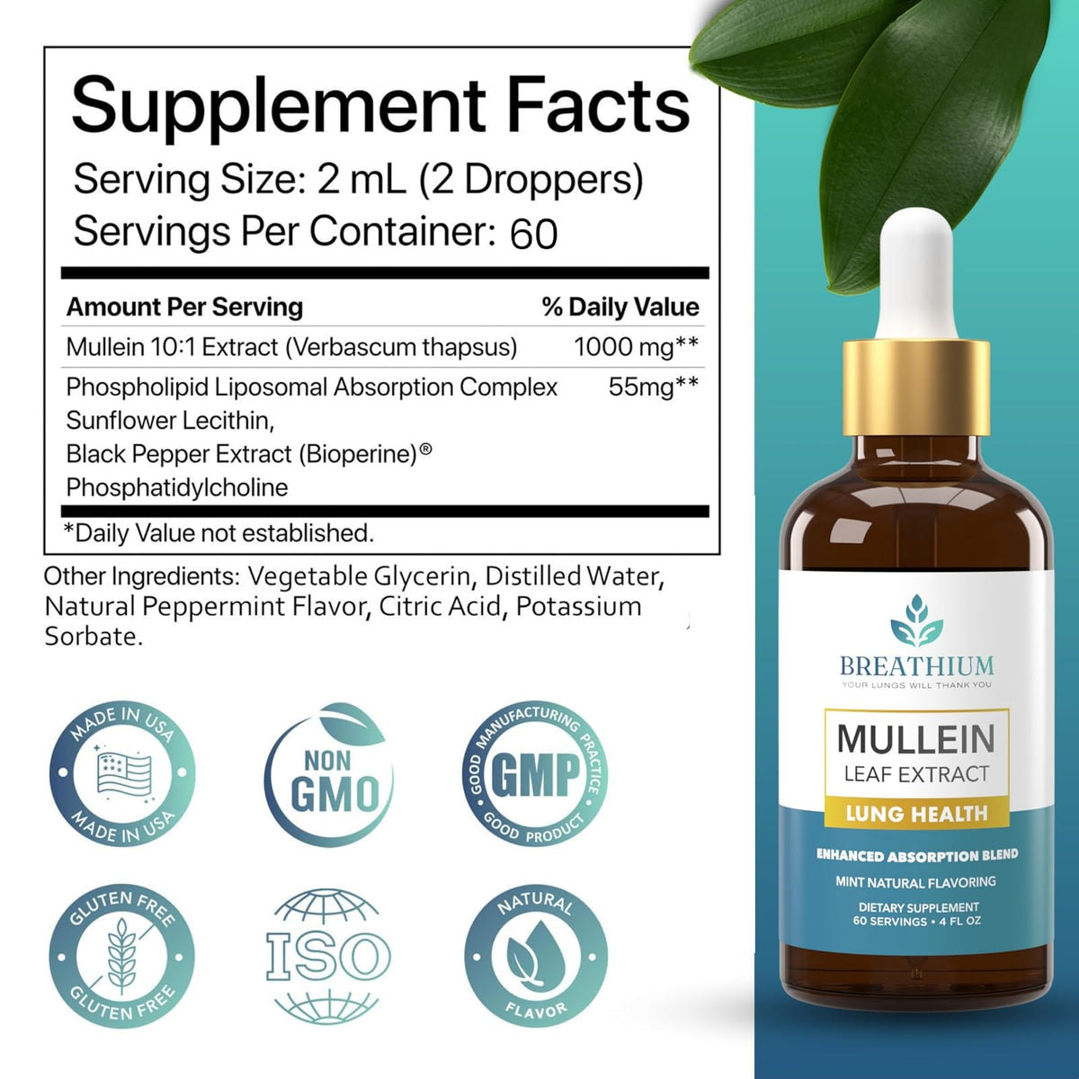 Mullein liquid drops for easy absorption