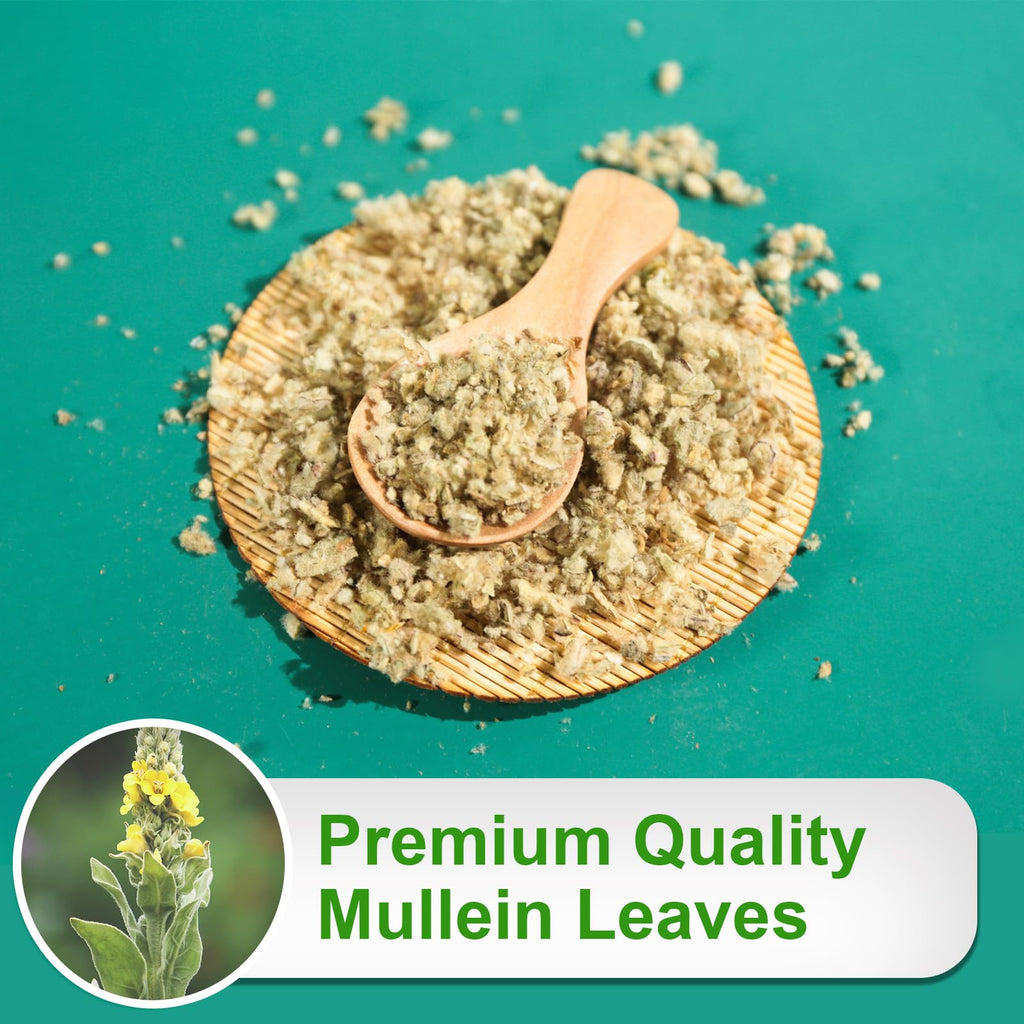 Mullein loose leaf tea benefits
