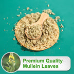 Mullein loose leaf tea benefits