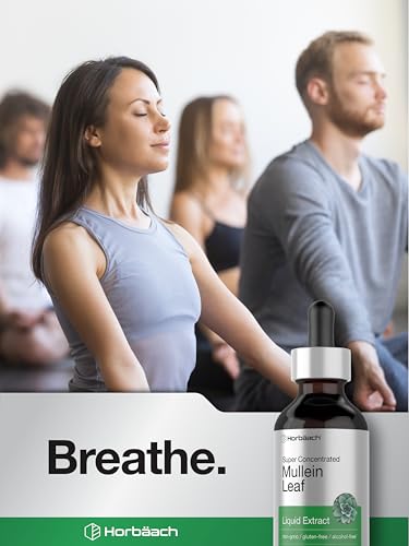 mullein oil for ear health support